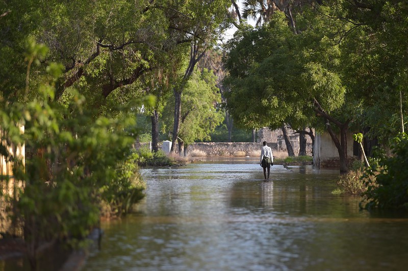 Nature-based solutions supporting climate resilience in the Juba ...